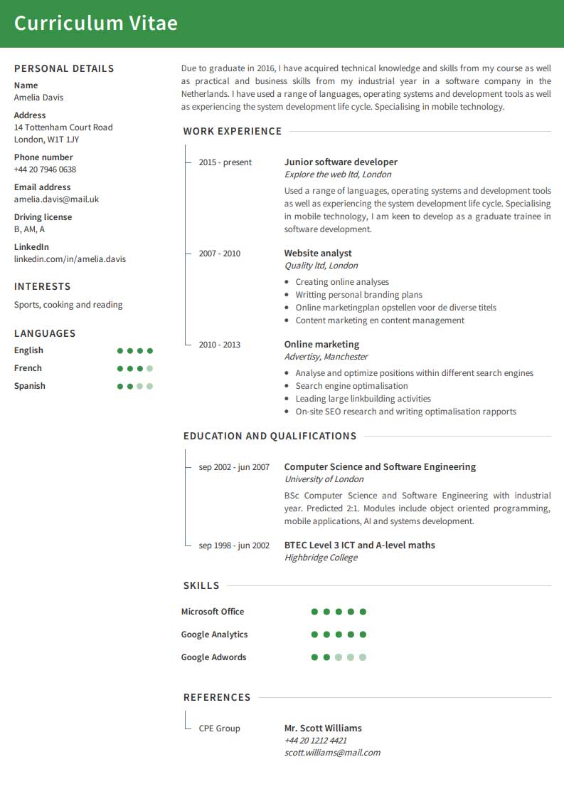 20+ Professional Resume Examples & Templates for your resume