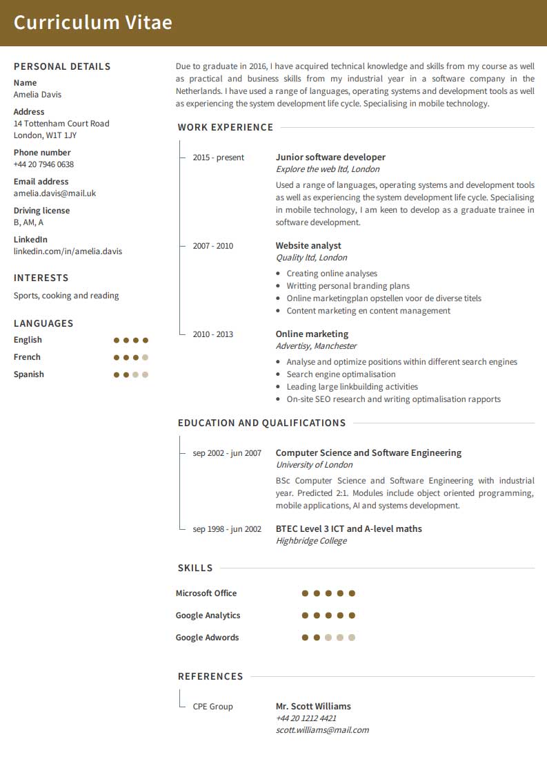 20+ Professional Resume Examples & Templates for your resume