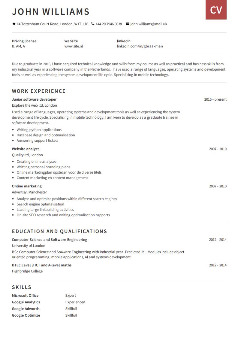 20+ Professional Resume Examples & Templates for your resume