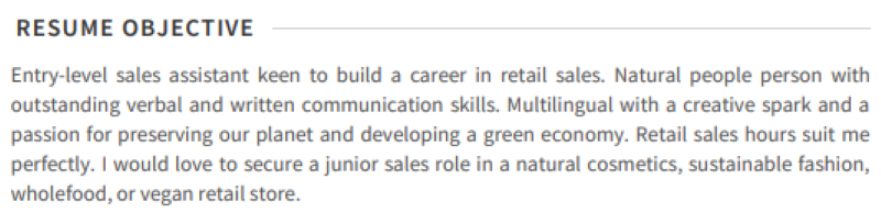 Sales Resume: Example, Template & How to Write Guide for 2026 - CVmaker.com